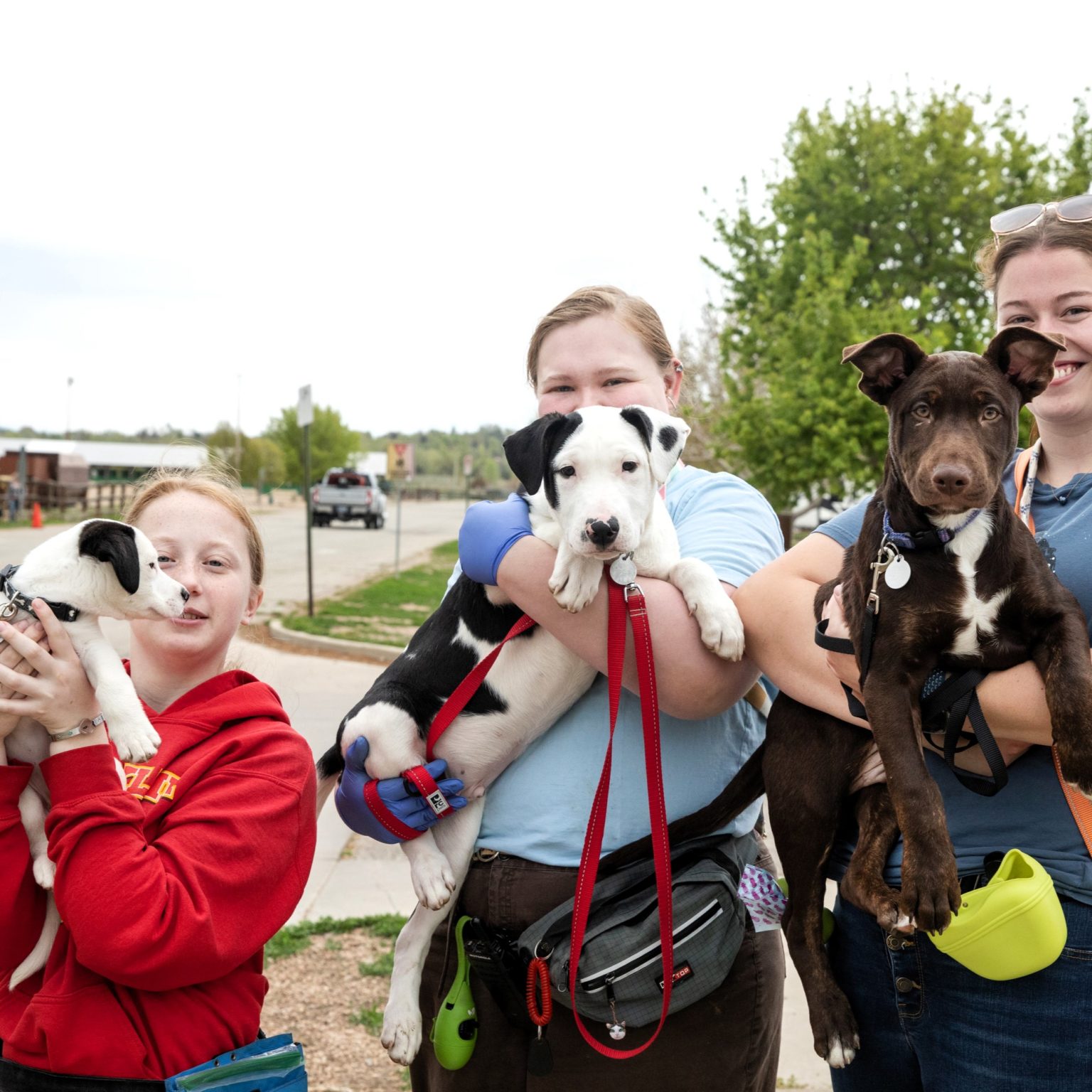 Dog Training – Longmont Humane Society