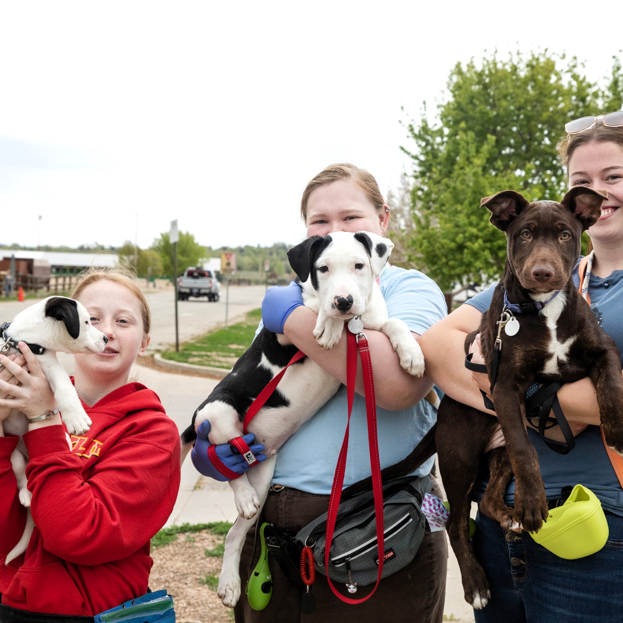 Dog Training – Longmont Humane Society