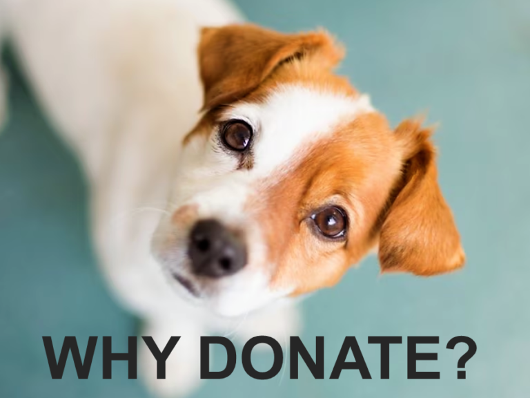 Help the Animals – Longmont Humane Society