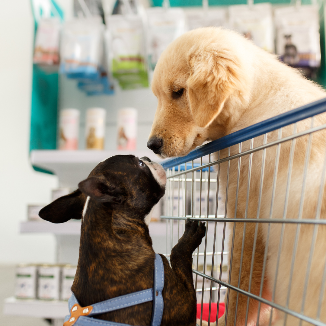 Wish List – Longmont Humane Society