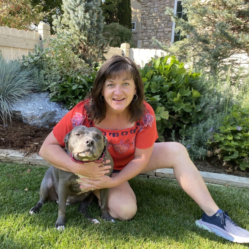 Well Pet Clinic Doctors – Longmont Humane Society