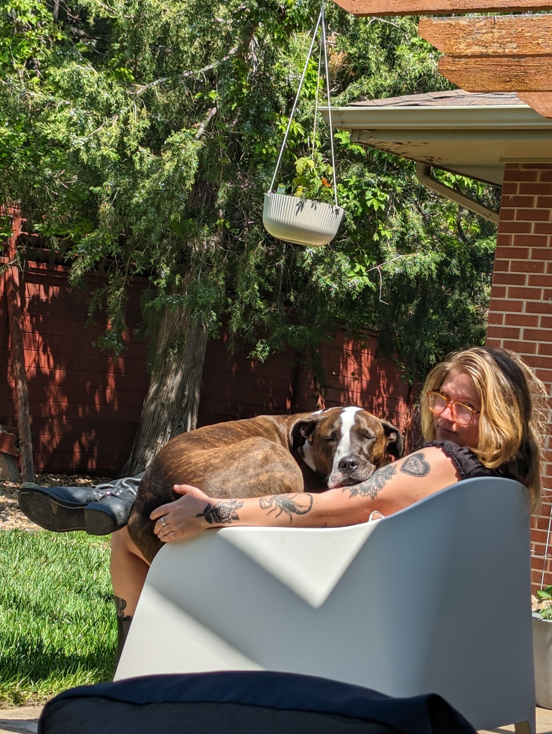 Adoption Update: Tex – Longmont Humane Society
