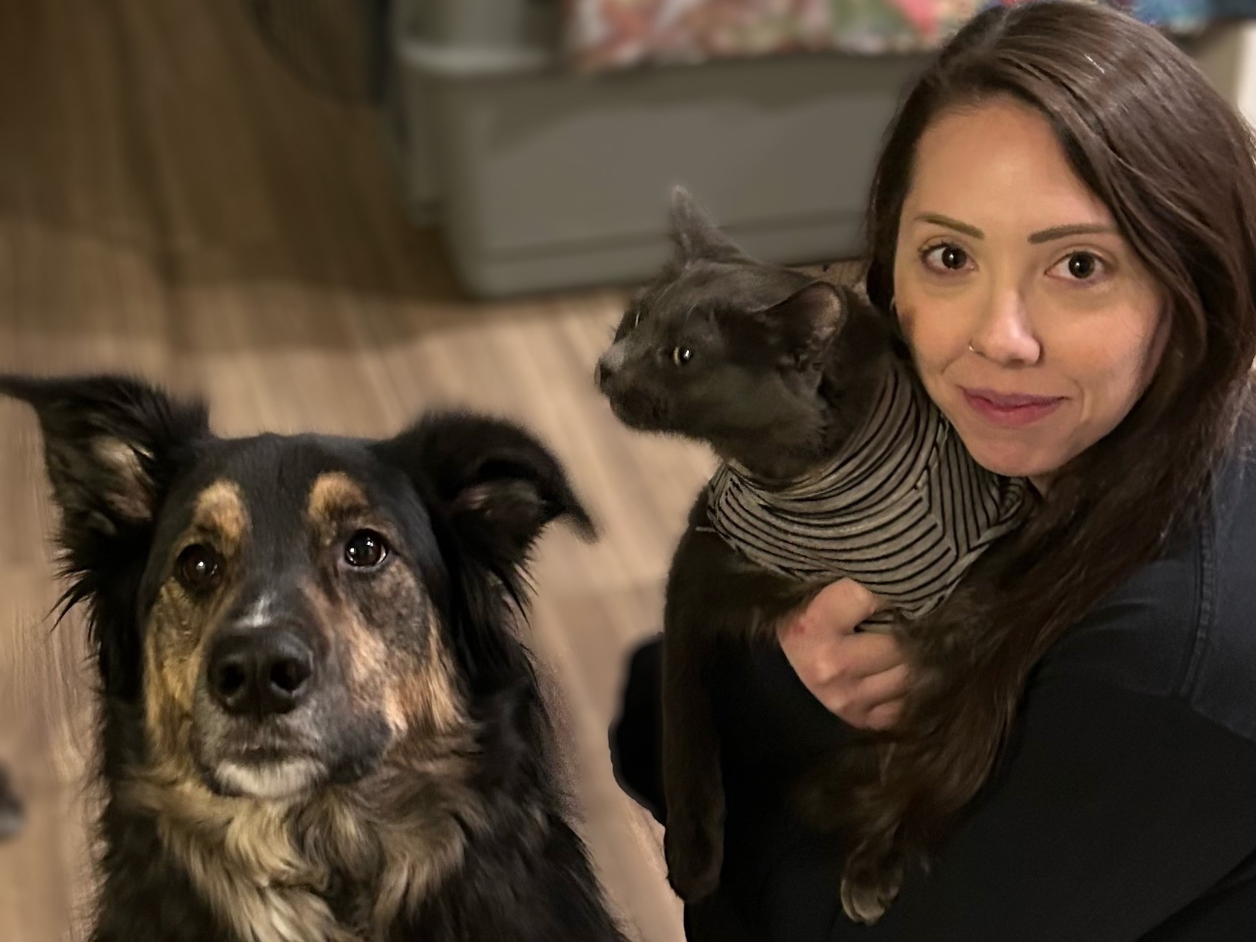 Meet our Team – Longmont Humane Society