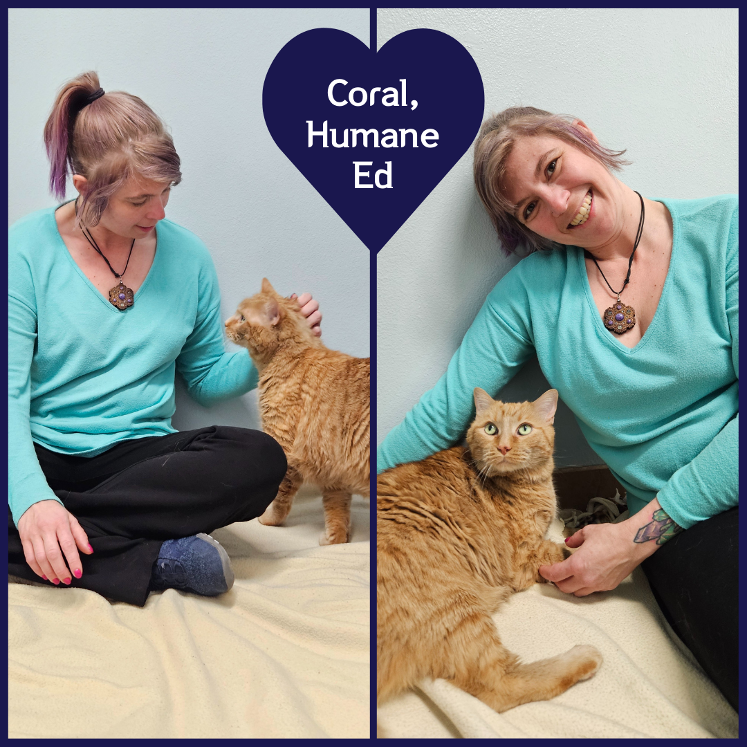 Meet The Team – Longmont Humane Society