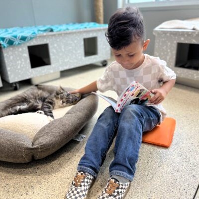 Reading-to-Cat-2 – Longmont Humane Society