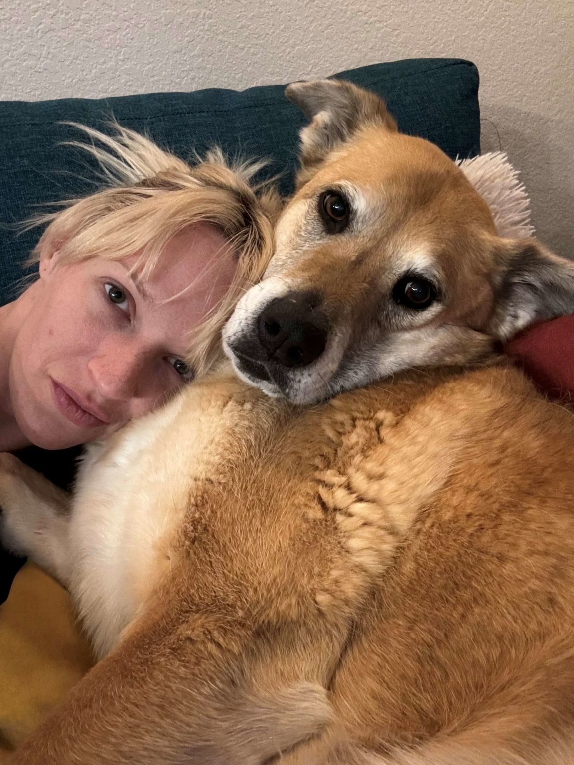 Adoption Update: Willow – Longmont Humane Society