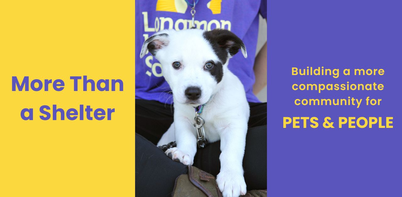 Longmont Humane Society – Welcome to Longmont Humane Society